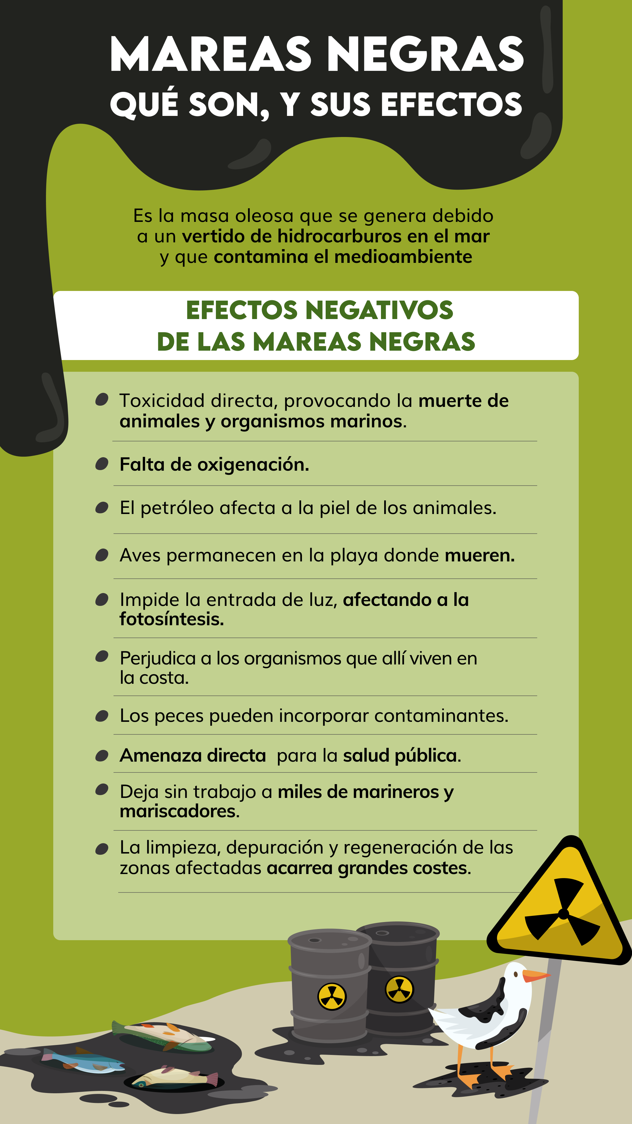 Mareas negras: qué son, impacto en el entorno | DKV 360